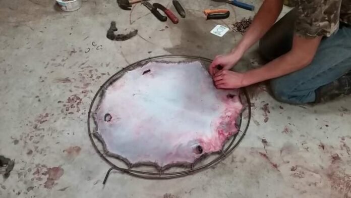 Beaver Stretcher: Using of The Art - Apzo Media